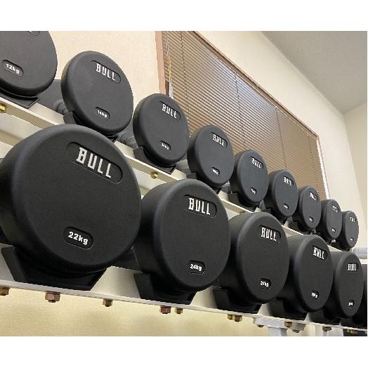 [BULL]TPUダンベル24kg（2個セット） : bl-td24 : 極楽トレーニング倶楽部Yahoo!店 - 通販 - Yahoo!ショッピング