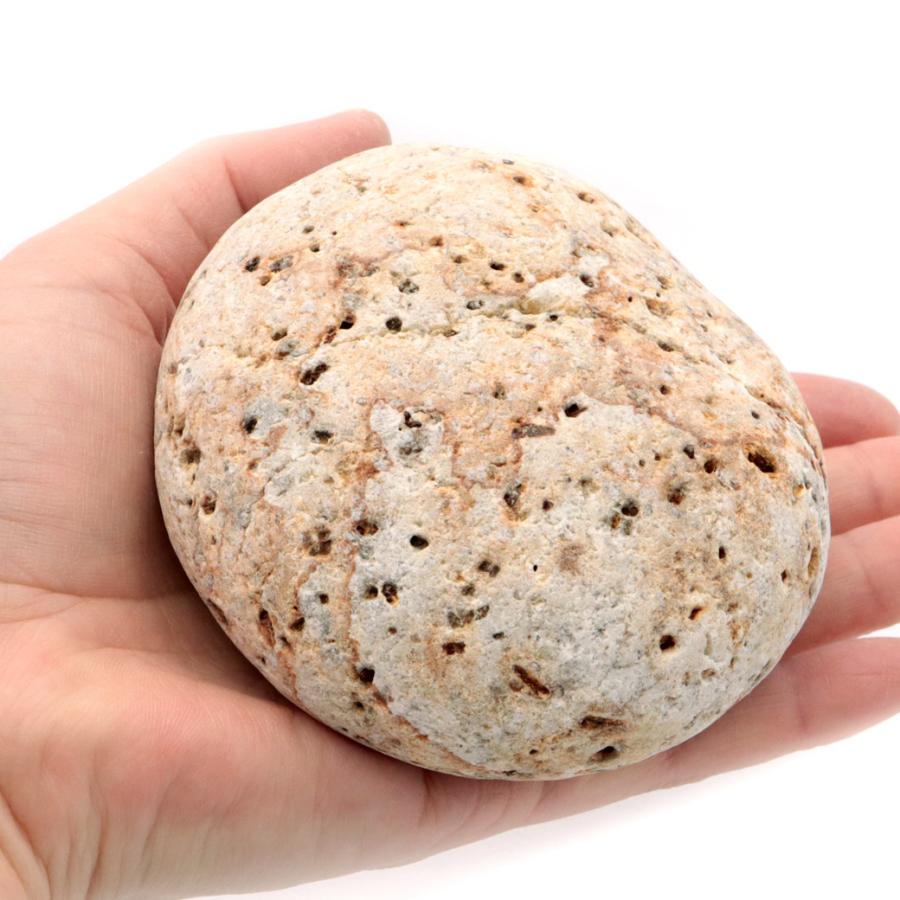 姫川薬石 糸魚川産 自然石 561g 特大サイズ 1点もの お風呂用 多用途 天然石 原石 パワーストーン 浄化グッズ 癒し ヒーリング プレゼント : GOLD STONE. - 通販 ...
