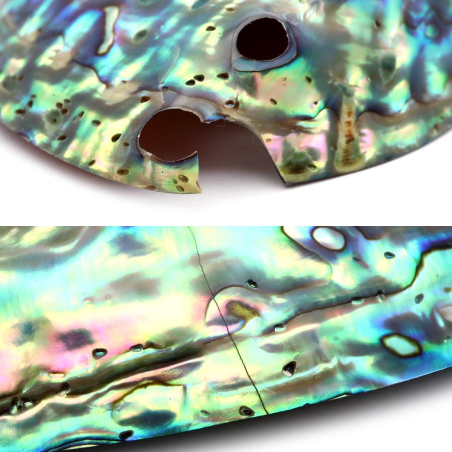 訳あり アバロンシェル ホワイトセージの浄化皿 パウアシェル 貝殻 ニュージーランド産 : wk-avalon-shell : GOLD ...