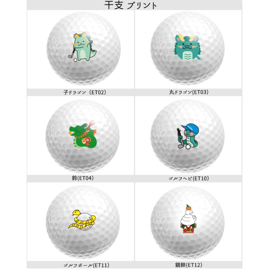Pro V1 【オリジナルオウンネームプリント(納期2-3日)】タイトリスト PROV1 ゴルフボール 1ダース(12球入り) 2025年 ...