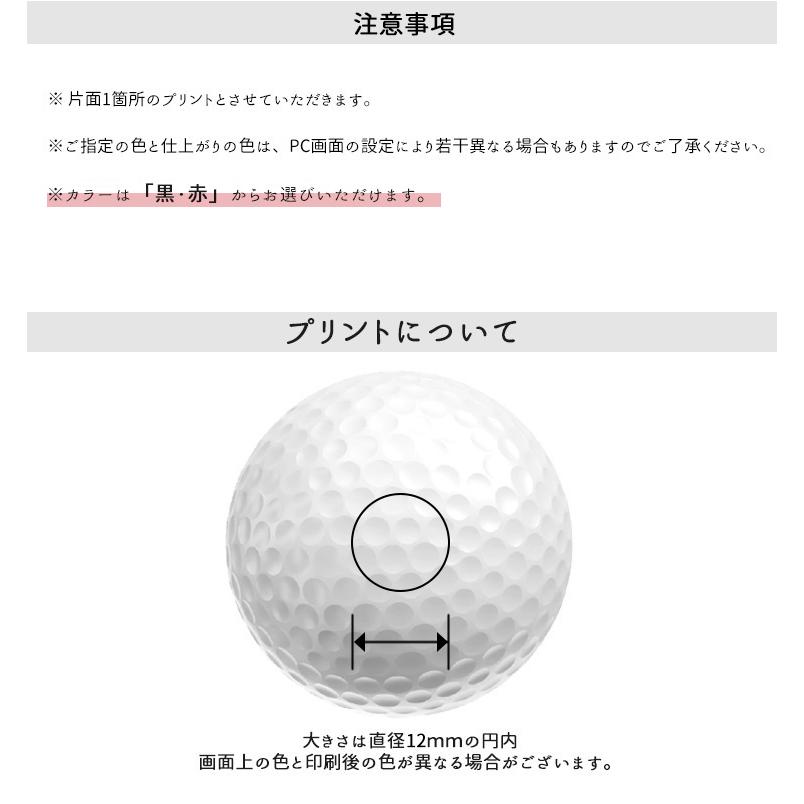 Titleist 【オリジナルオウンネームプリント(納期2-3日)】タイトリスト AVX ゴルフボール 1ダース(12球入り) 2024年モデル アルファベットC マーク入り : ゴルフ ...