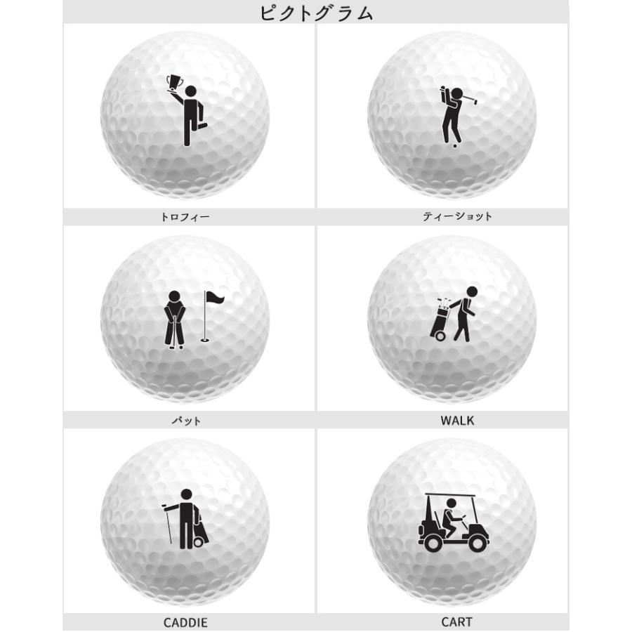 Titleist 【オリジナルオウンネームプリント(納期2-3日)】タイトリスト AVX ゴルフボール 1ダース(12球入り) 2024年モデル ピクトグラム マーク入り : ゴルフショップ ...