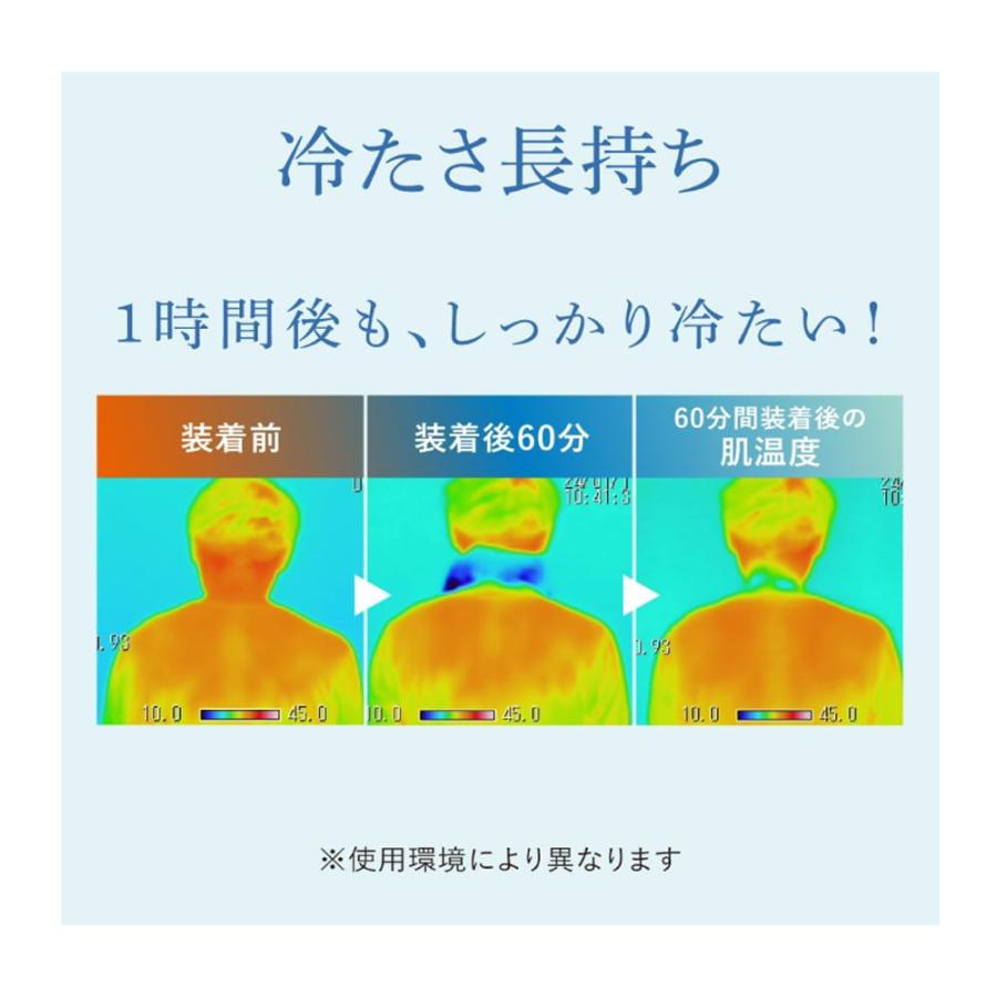 アルファックス 【酷暑対策】 ライト 巻けるFIT氷のう クール 夏 ゴルフ 冷却 氷を入れるだけ ふつうサイズ（容量900cc） G-575 暑さ対策 : Golkin Yahoo!ショップ ...