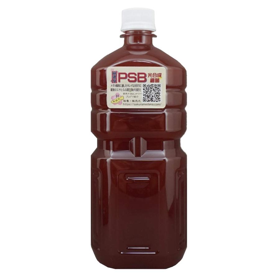 桜めだか培養 PSB 光合成細菌 1Lボトル / 高濃度な土壌細菌バクテリア メダカ・金魚・熱帯魚・ミジンコに！特濃PSB : s-b081d3n7qj-20240915 : Good ...