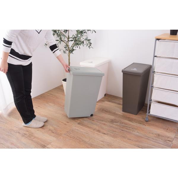 東谷 スライドペール 45L LFS-763 ダストボックス ごみ箱 ゴミ箱 ペールBOX スライドフタ付 省スペース 日本製 スタイリッシュ おしゃれ : Good Mark - 通販 ...