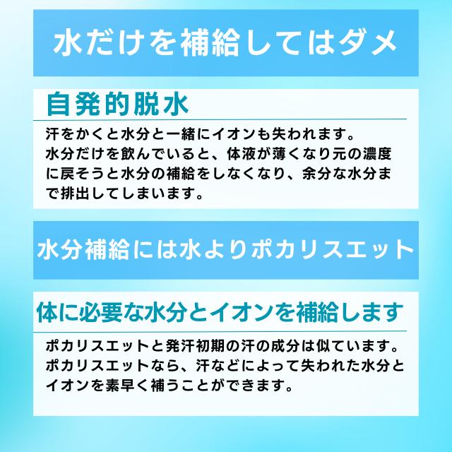 ポカリスエット 粉末 パウダー 1L用 ポカリスウェット 74g×10袋 スポーツドリンク : グッドワン - 通販 - Yahoo!ショッピング