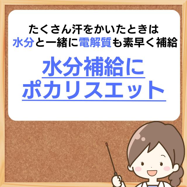 ポカリスエット 粉末 パウダー 1L用 ポカリスウェット 74g×10袋 スポーツドリンク : グッドワン - 通販 - Yahoo!ショッピング