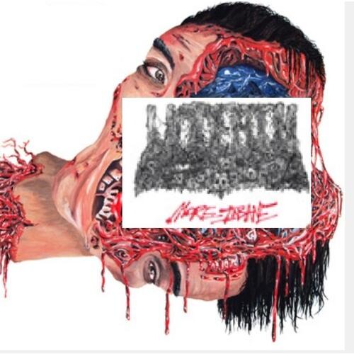 [輸入盤CD][新品]UNDEATH / MORE INSANE (2024/10/04発売) : CD・DVD グッドバイブレーションズ ...