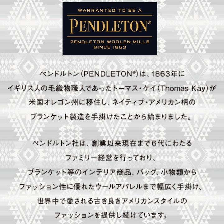 送料無料 ペンドルトン ニット クルーネックセーター PENDLETON MISSION TRAILS CTN CREW RF795 ...