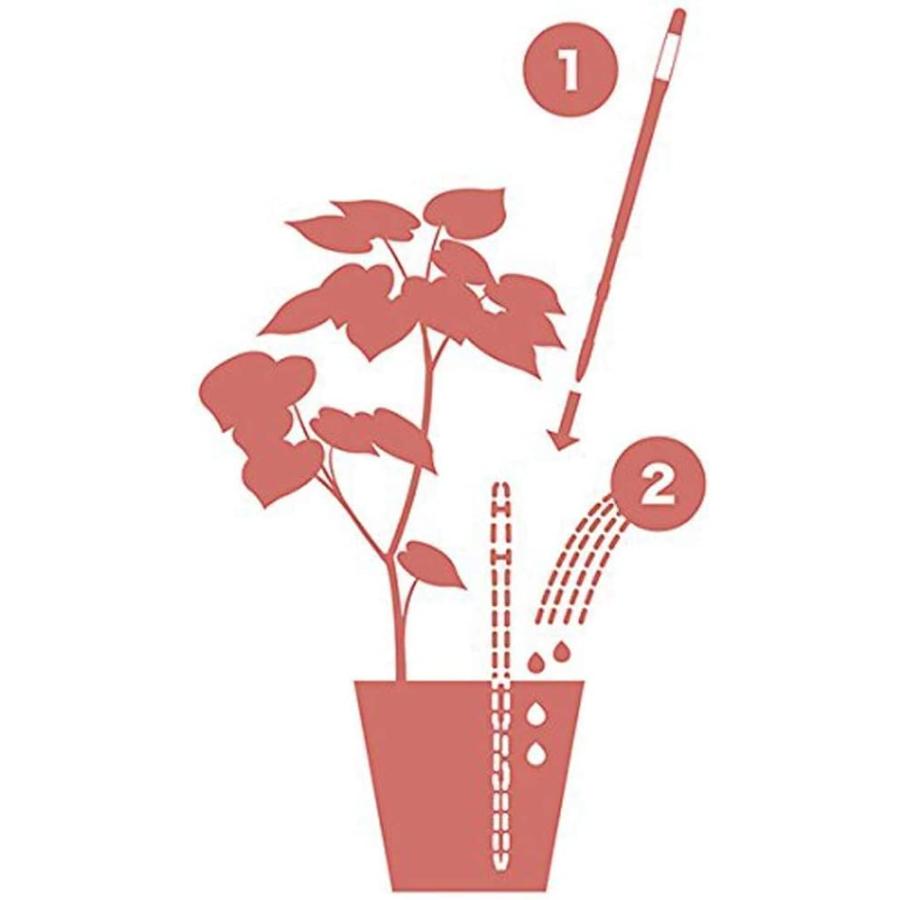 キャビノチェ SUSTEE 水やりチェッカ サスティ M サイズ グリン C-0012-GR 4本 : グッドライフメディアセンター本店 - 通販 - Yahoo!ショッピング