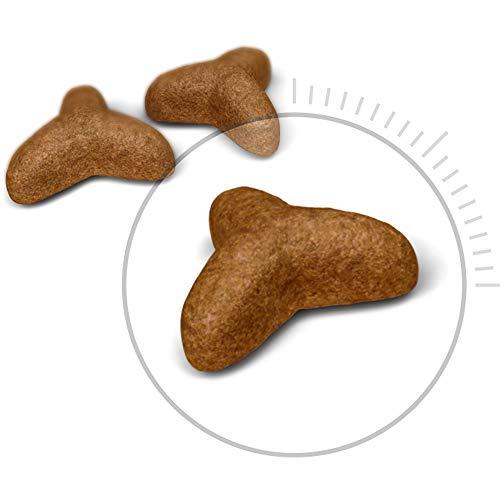 ロイヤルカナン FCN ライトウェイトケア 8kg : グッドライフメディアセンター本店 - 通販 - Yahoo!ショッピング