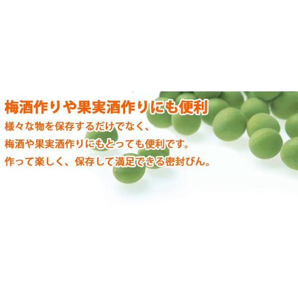 セラーメイト 【今季完売】CELLARMATE 取手付密封びん 4L 梅酒ビン 4リットル 梅酒瓶 4.0L 星硝 220339 : グットライフショップ ヤフー店 - 通販 - Yahoo ...