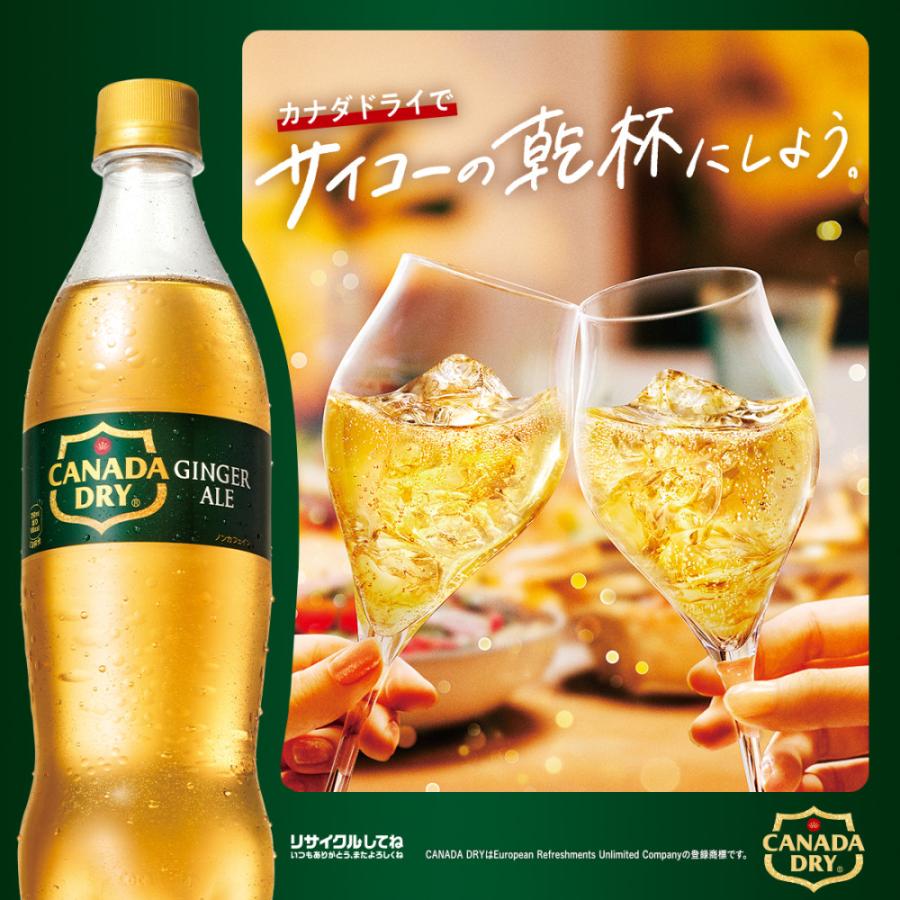 カナダドライ 6/29は条件達成で最大P14％付与 炭酸 ジンジャーエール 缶 割材 160ml 30本 2箱 60本 送料無料 : Good Luck便 ヤフー店 - 通販 - Yahoo ...