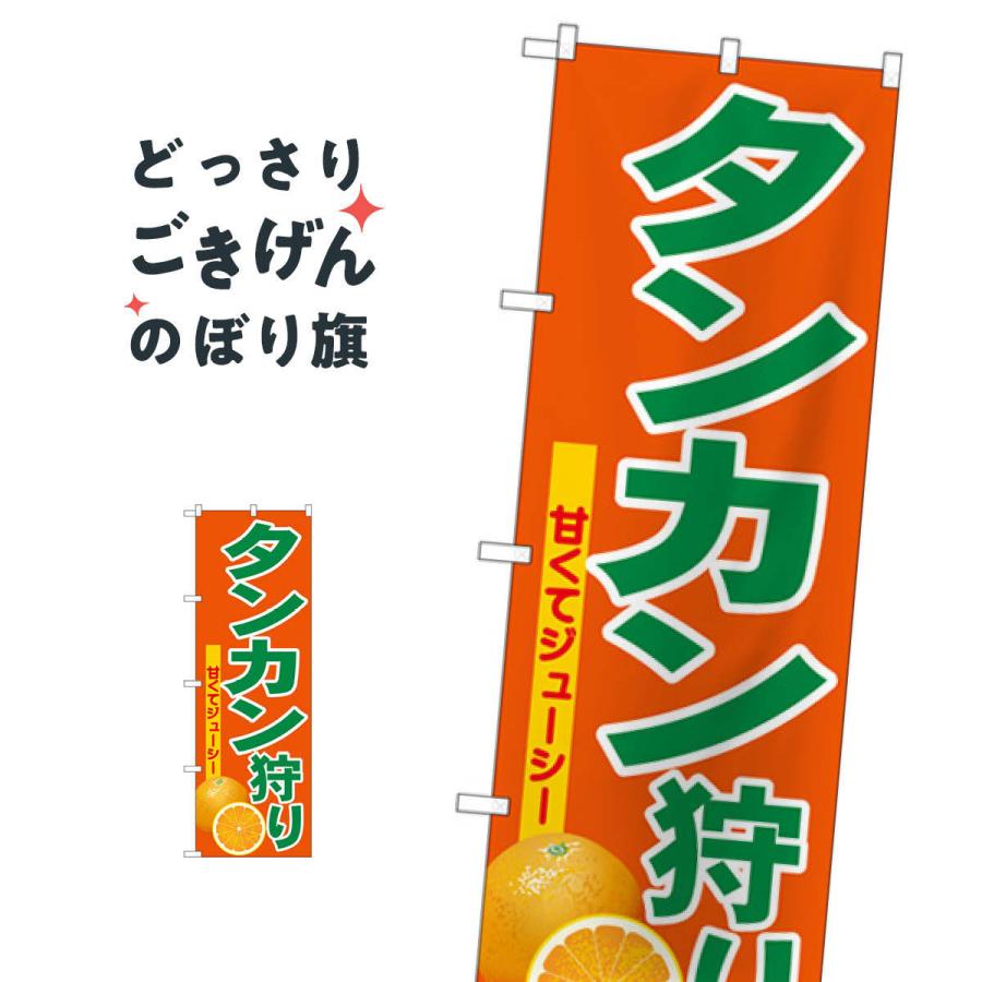 タンカン狩り のぼり旗 SNB-6574 : のぼり旗 グッズプロ - 通販 - Yahoo!ショッピング