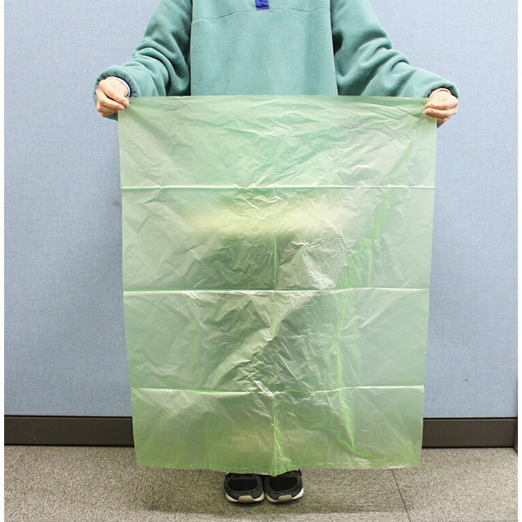 ハウスホールドジャパン ゴミ袋 消臭袋 サニタリー用 10枚入×5個パック グリーン 45L AS45 : Goodsaniaマック土居店 - 通販 - Yahoo!ショッピング