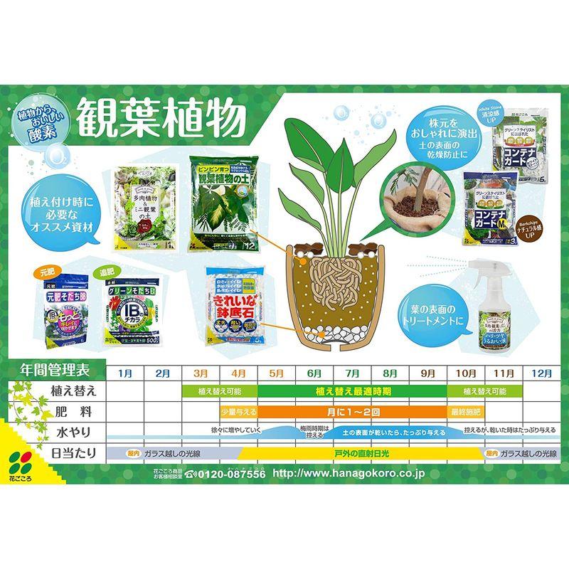 観葉植物の土 12L : GoodSelectShop - 通販 - Yahoo!ショッピング