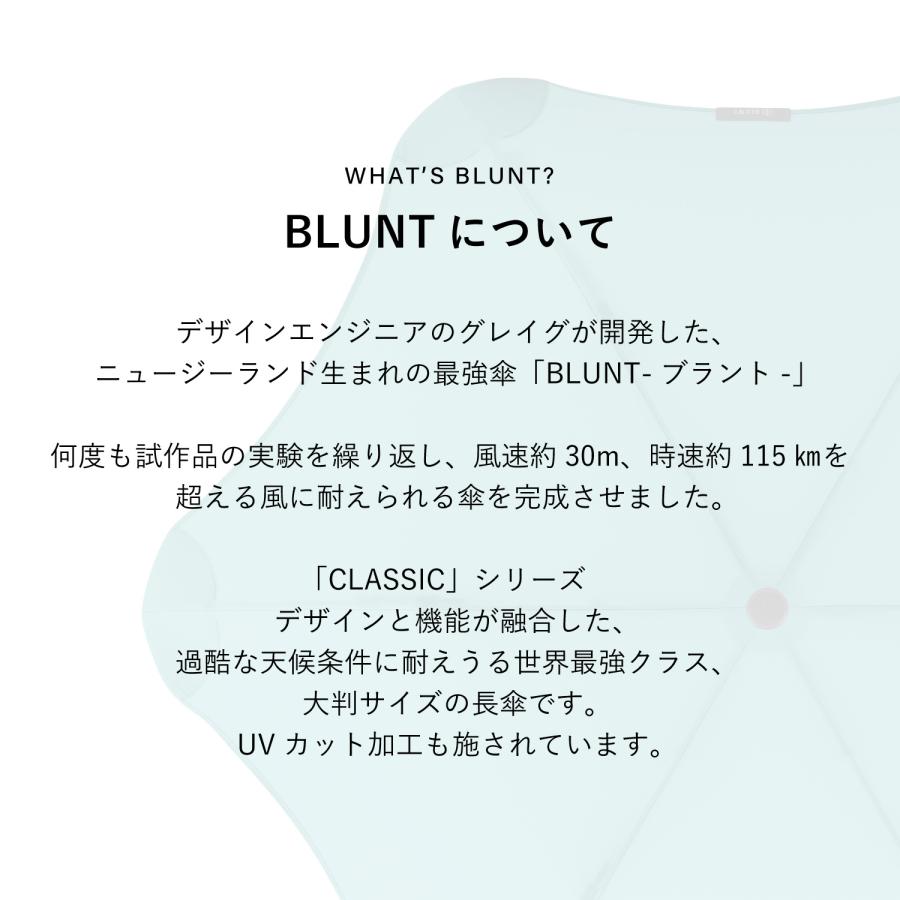 BLUNT 特典付き ブラント 長傘 雨傘 65cm クラシック メンズ レディース 耐風 CLASSIC ブラック グレー ブルー グリーン 黒 CLA : Goods Lab Plus ...