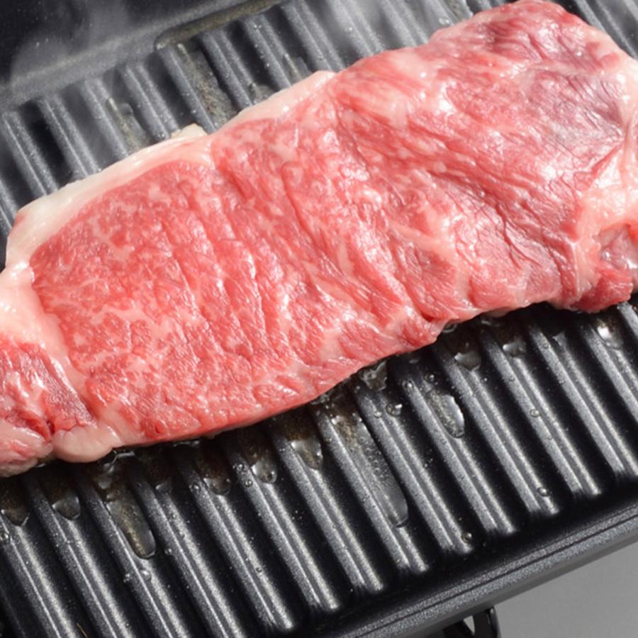 Leye レイエ スチームクッカー 魚焼きグリル ロースター 魚焼き器 フタ付き IH ガス対応 STEAM COOKER ブラック 黒 ...