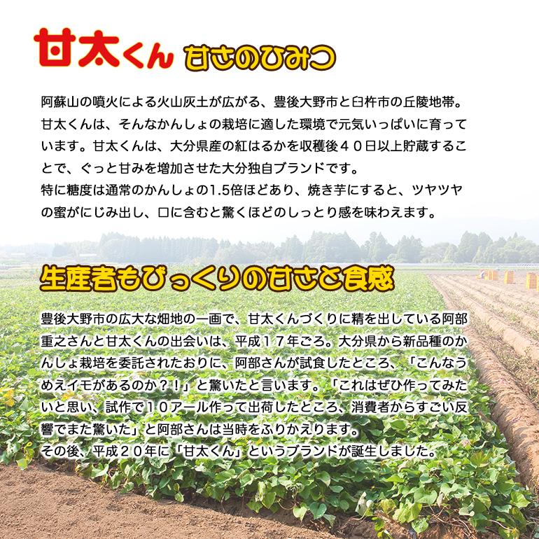 JAフーズおおいた 甘太くん 干し芋 135g 3袋セット ほし芋 国産 さつまいも 甘太くんの干し芋 かんしょ ほしいも 大分県特産 無添加 無着色 JAおおいた 代引き不可 : グルメ大分 ...