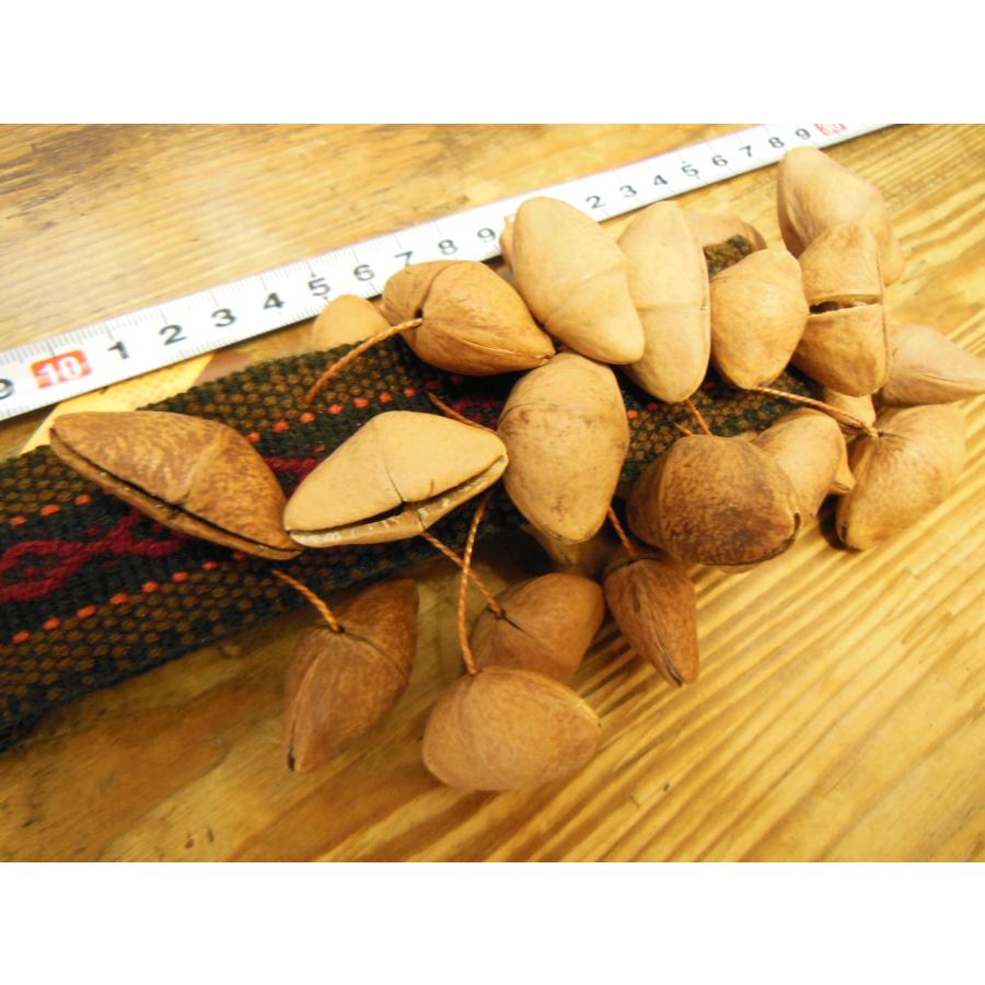 テージョ セミーヤTG-L01 : GOUTBASS MUSIC - 通販 - Yahoo!ショッピング