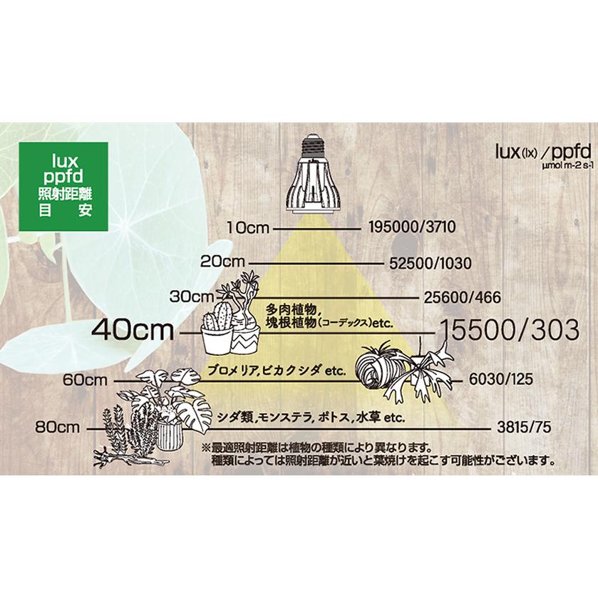 Ever Sun 365 mini 12W WHITE 【2個セット】 ホワイト エバーサン 植物育成ライト 育成電気 育成灯 ミニ ...