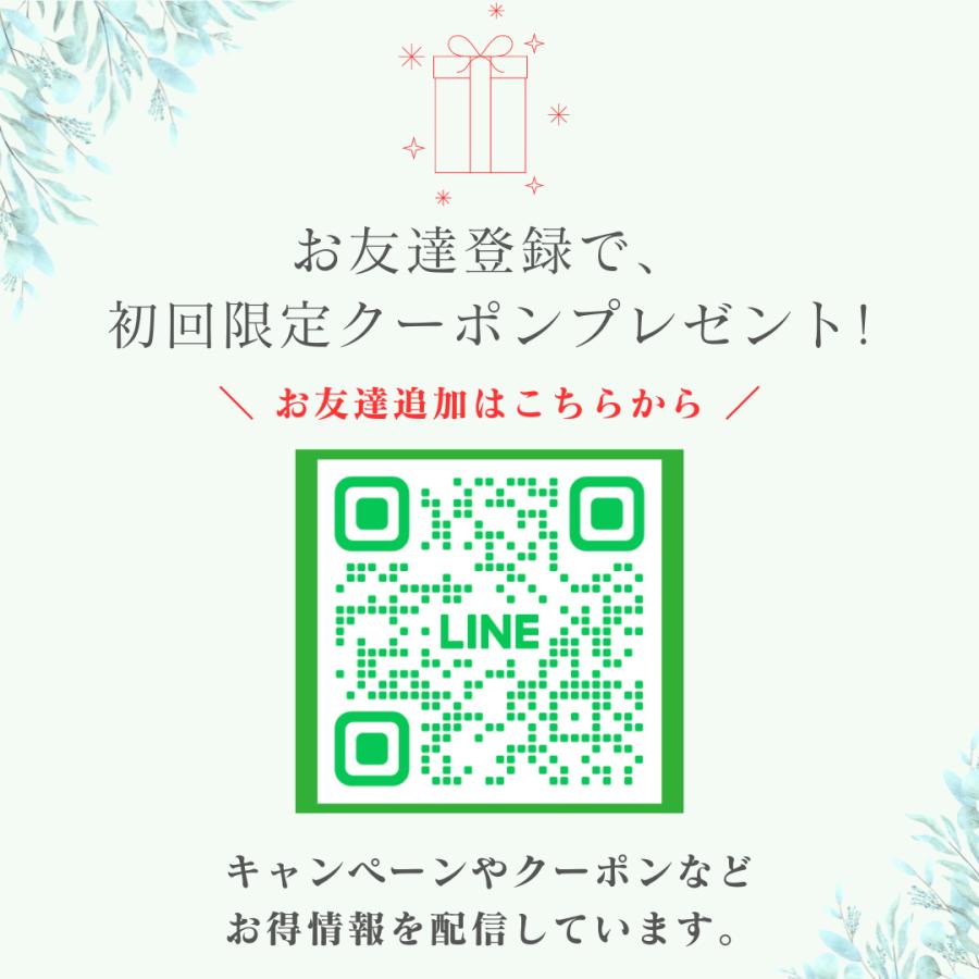 【D'sTs公式】 米粉パンケーキ パンケーキミックス ホットケーキミックス 100g×3個セット ホットケーキ 国産 米粉 パン グルテンフリー 赤ちゃん 後期 :komeko-006:ジー ...