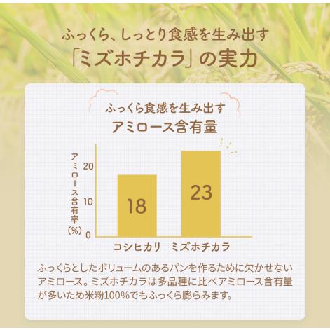 【D'sTs公式】 ミズホチカラ 米粉パン パン用 2kg × 5袋 国産 グルテンフリー パン : ジーラックショップ - 通販 - Yahoo!ショッピング