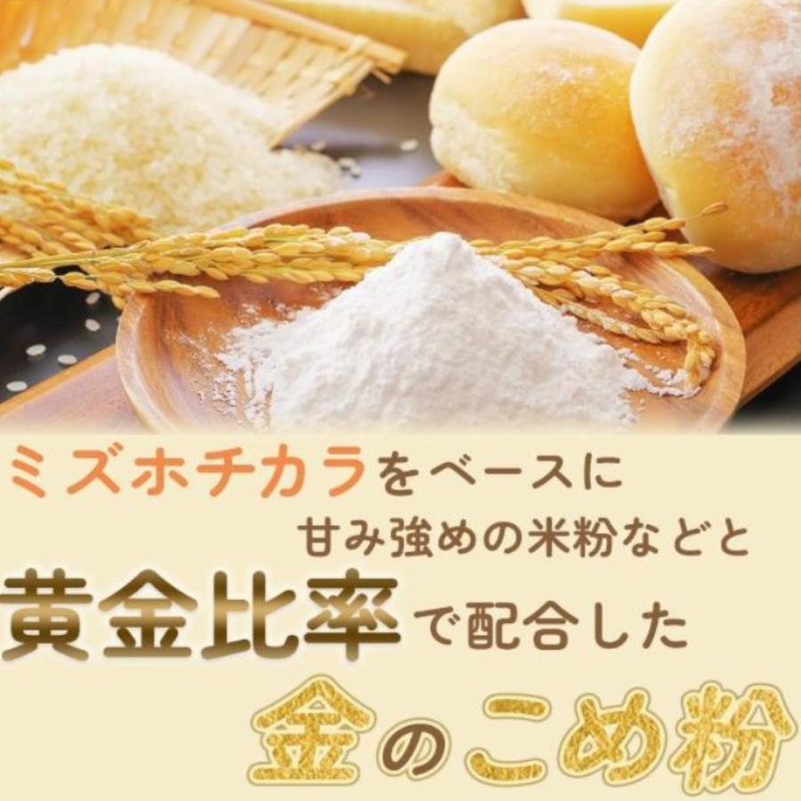 【D'sTs公式】 金の 米粉 パン用 ミズホチカラ 2kg × 5袋 国産 こめ粉 無添加 製菓用 お菓子 グルテンフリー ホームベーカリー 米粉パン 専門店が選んだ米粉 : ジーラック ...