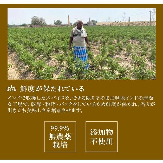 【D'sTs公式】 スパイスカレー カレー セット ターメリック クミンパウダー コリアンダーパウダー カレー粉 無添加 100g × 3種セット : ジーラックショップ - 通販 ...