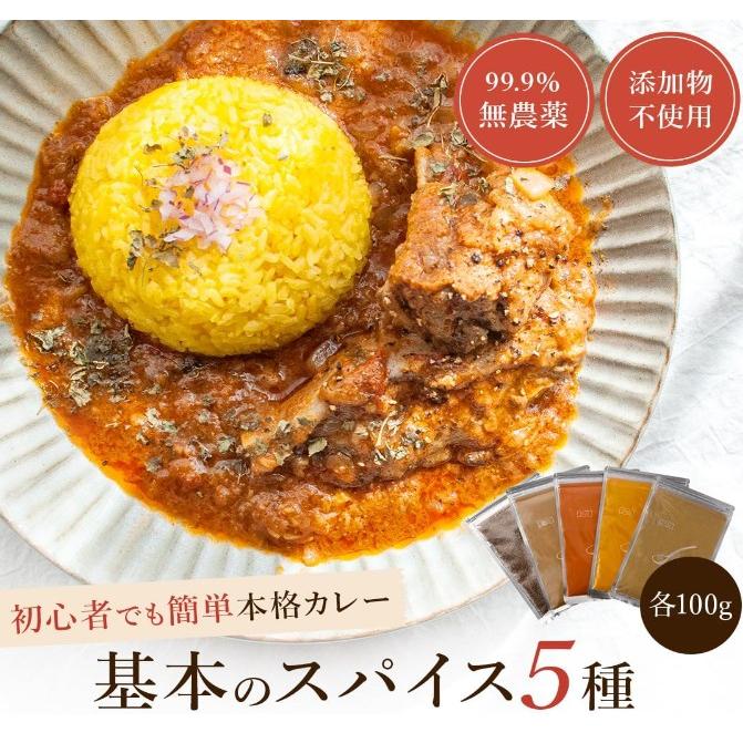 D'sTs スパイス カレー クミンシード ターメリック クミンパウダー チリパウダーコリアンダーパウダー カレー粉 無添加 100g 5種セット :spice-005:ジーラックショップ ...