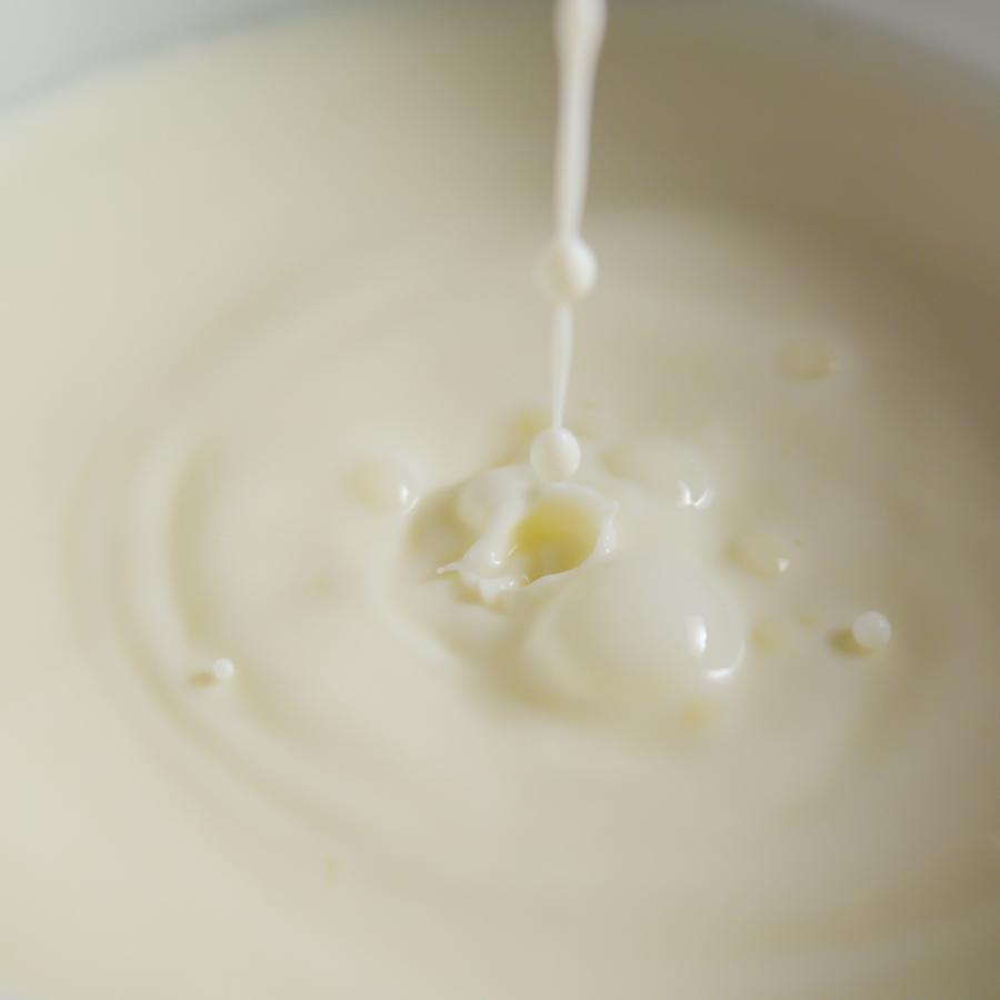 GRANCHA 口福餅 お試し Aセット（抹茶大福 大和茶大福 抹茶スイーツ） : 大和茶大福専門店GRANCHA公式ヤフーショップ - 通販 ...