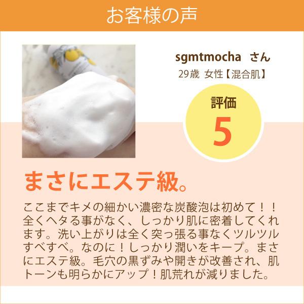 プリモディーネ 炭酸 10000ppm 洗顔フォーム 泡 洗顔 高濃度 炭酸パック 泡パック 泡洗顔 ビタミンC ニキビ 毛穴 黒ずみ なごみ炭酸スパウォッシュ 200gx2本 : FLAIR ...