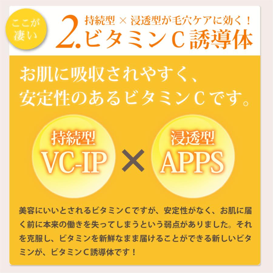 プリモディーネ 炭酸 10000ppm 洗顔フォーム 泡 洗顔 高濃度 炭酸パック 泡パック 泡洗顔 ビタミンC ニキビ 毛穴 黒ずみ なごみ炭酸スパウォッシュ 200gx2本 : FLAIR ...