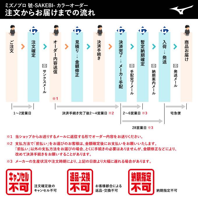 MIZUNO <受注生産>ミズノ(MIZUNO) 1DJLH95000 硬式 MIZUNO <受注生産>ミズノ(MIZUNO) 1DJLH95000 硬式