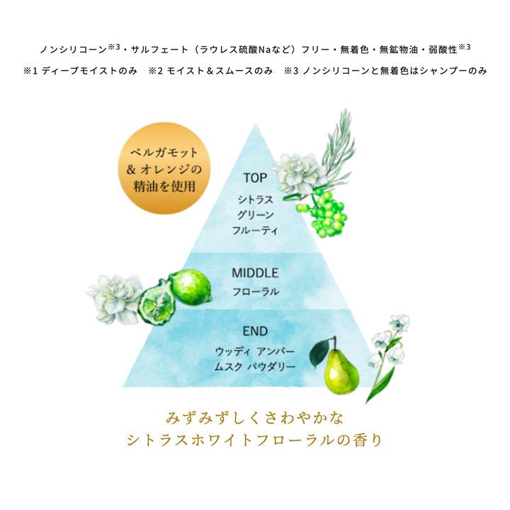 ジュレーム（コーセー） ジュレームiP シャンプー トリートメント セット モイスト＆スムース 480ml ボトル タラソリペア 補修美容液 爆買 : グラニーレ - 通販 - Yahoo ...