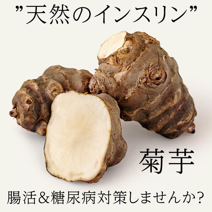 菊芋チップス 腸活KIKUIMO 50g 10袋 ノンフライ オイルフリー 血糖値上昇を抑える 糖尿病対策 きんぴら ピクルス 梅肉和え : グラニーレ - 通販 - Yahoo!ショッピング