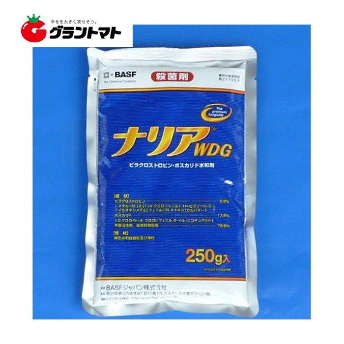 ナリアWDG 250g×40袋 水和剤 果実向け万能殺菌剤 農薬 BASFジャパン【取寄商品】 : グラントマトYahoo!ショッピング店 - 通販 - Yahoo!ショッピング