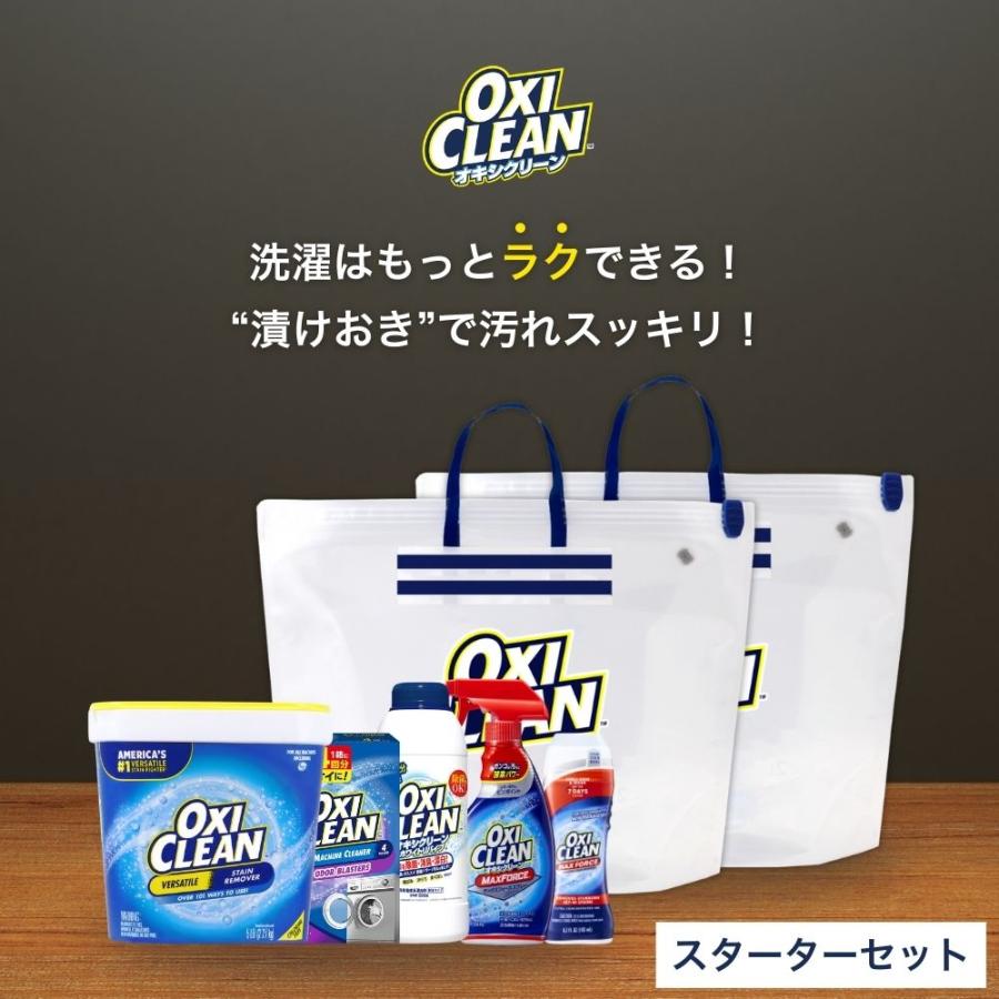 OXICLEAN オキシクリーン EX アメリカ版 2.27kg 漬けおきバッグ×2個 ホワイトリバイブ 500g マックスフォース ジェル ...