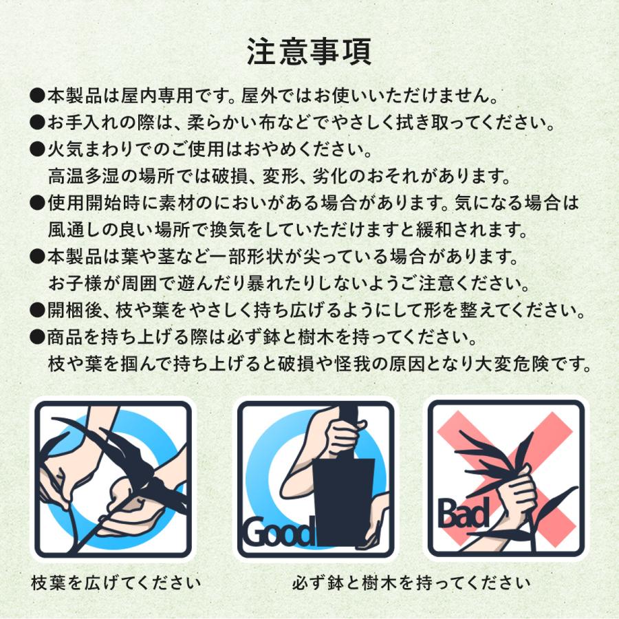 DORIS 人工観葉植物 光触媒 水やり不要 インテリアグリーン 観葉植物 造花 防臭 殺菌 抗菌 洗浄 ひっかけ紐付き 吊り飾り ハンギング ペペロミア 70cm ドリス : doris ...