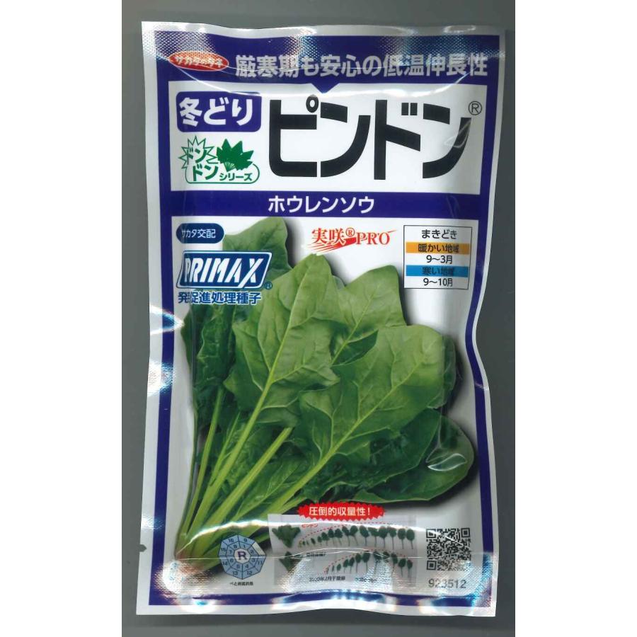 サカタのタネ ほうれんそう ピンドン 100ml (約4000粒) 実咲PRO : グリーンロフトネモト - 通販 - Yahoo!ショッピング