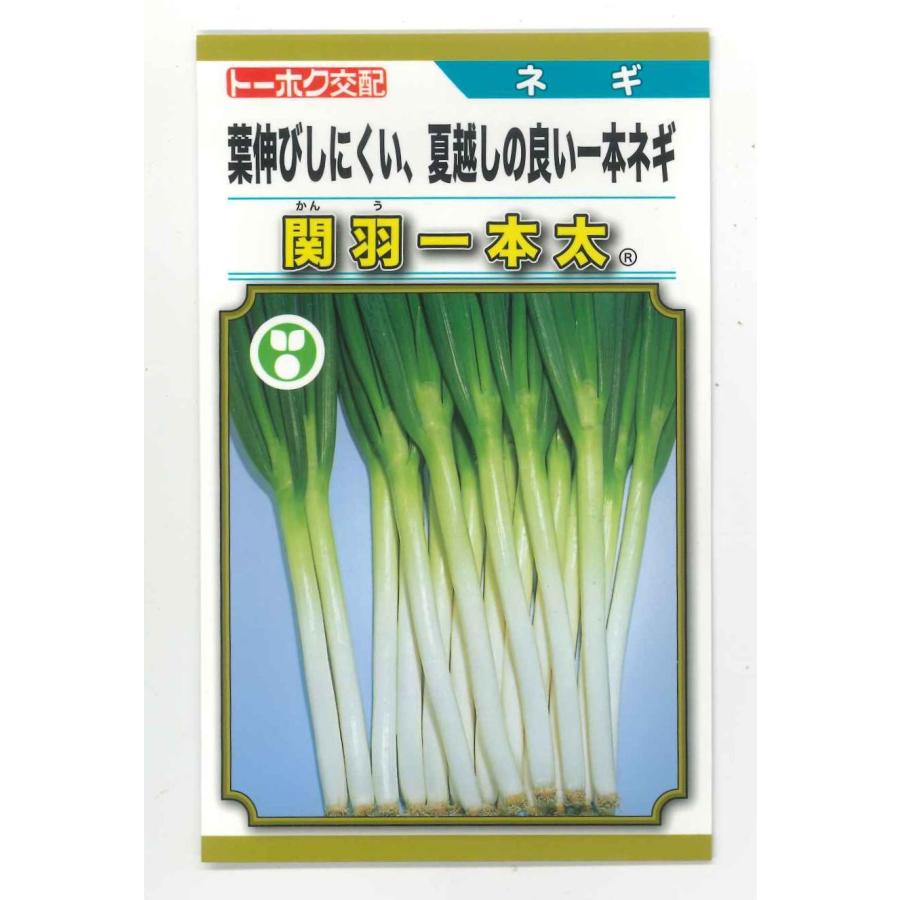 ねぎ 関羽一本太 5ml(約1085粒)（株）トーホク : グリーンロフトネモト - 通販 - Yahoo!ショッピング