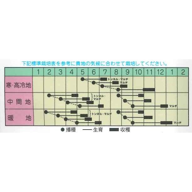 大根 京むらさき 小袋(1.7ml) 丸種(株) : 2312296 : グリーンロフトネモト - 通販 - Yahoo!ショッピング