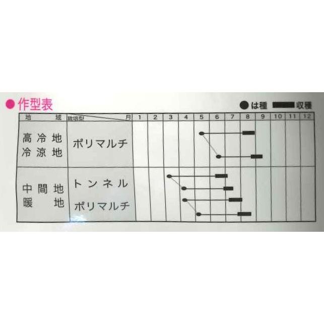 とうもろこし ミルキーシュガー 85(2000粒) トキタ種苗 : グリーンロフトネモト - 通販 - Yahoo!ショッピング