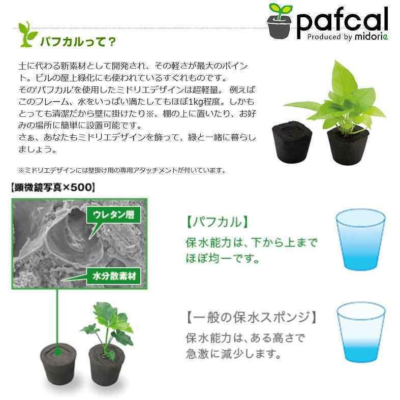 ミドリエ デザイン パフカルマット フレーム専用 交換マット pafcal 土を使わない 壁掛け 観葉植物 : グリーンプラネット - 通販 ...