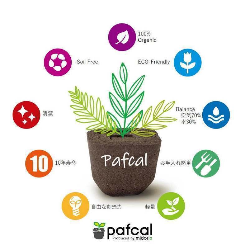 ミドリエ デザイン パフカルマット フレーム専用 交換マット pafcal 土を使わない 壁掛け 観葉植物 : グリーンプラネット - 通販 ...