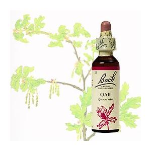 オーク 10ml : グリーンライン - 通販 - Yahoo!ショッピング