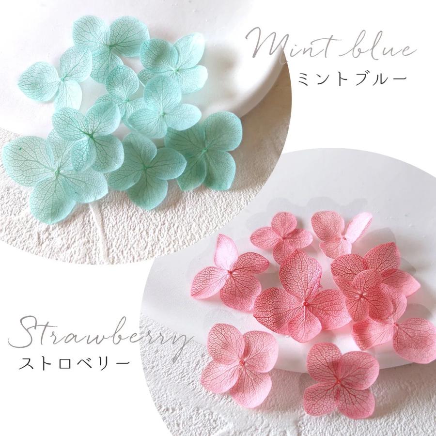 ドライフラワー アジサイ 紫陽花 あじさい 押し花 9枚 ドライフラワー アジサイ 紫陽花 あじさい 押し花 9枚