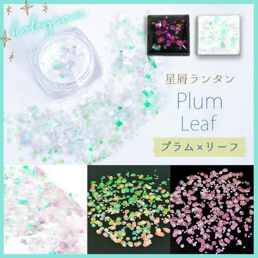 隠れ工房GreenOcean 封入 星屑ランタン 偏光ホログラム 4色セット レジン封入素材 封入パーツ フレーク デコパーツ ケース入り シェイカー シャカシャカ 推し活 UVレジン ...