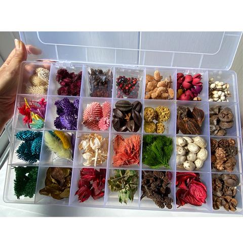 木の実 植物 ドライフラワー アソート ミックス ハーバリウム ディスプレイ 飾り 装飾 ケース入り 1セット限定 f73 2310 GreenRoseYumi : GreenRoseネット ...
