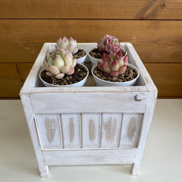 木製 ティムバー・スクエアプランターL ホワイト (WEA-902-WH）プランターカバー : グリングリン - 通販 - Yahoo!ショッピング